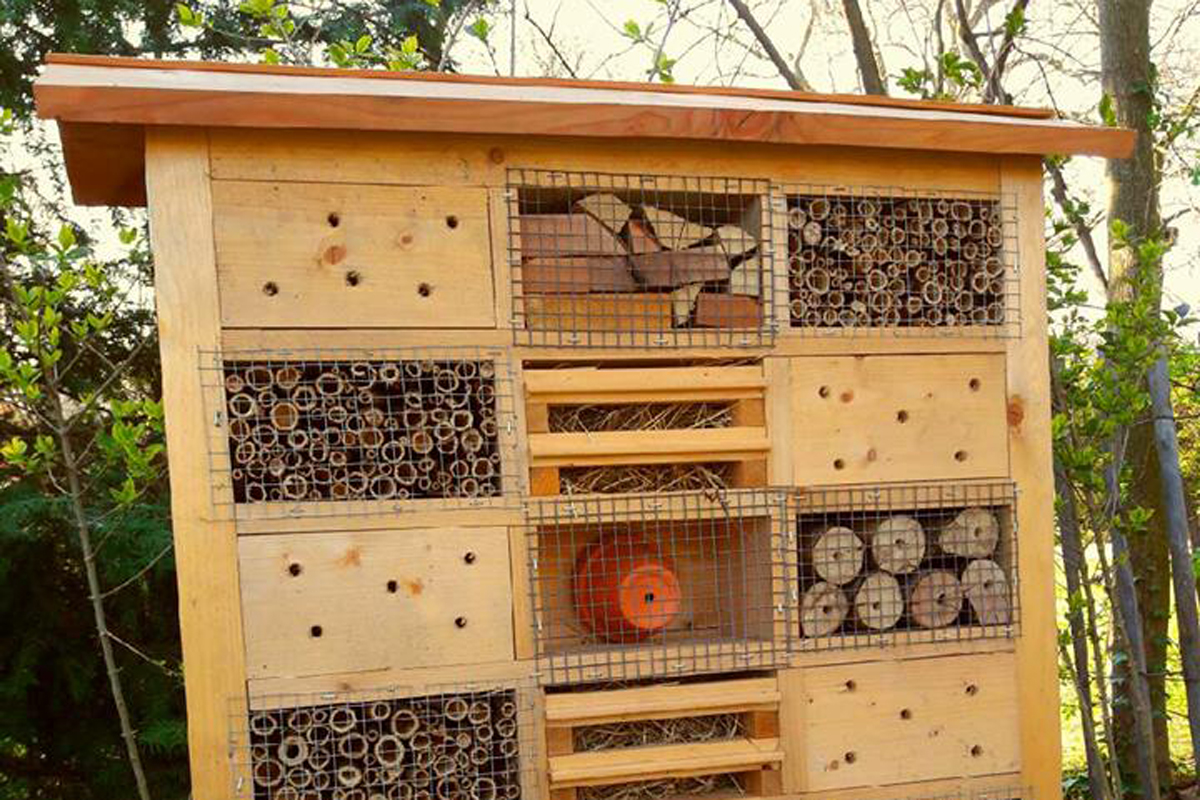 Fabriquez de petits gites à insectes - Ville de Chaville